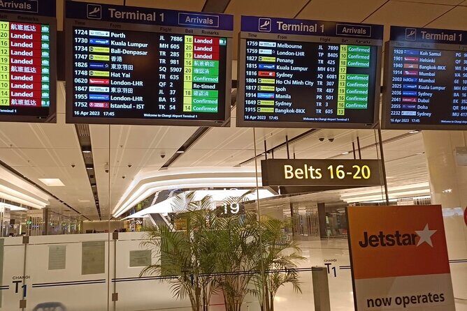 Singapore: Airport/Seaport Arrival Transfer + Meet & Greet - Detailed Vehicle and Service Highlights