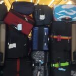 Singapore Arrival Ground Transfer in Limo-Bus - Why Choose This Transfer?