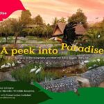 Singapore Bird Paradise Entry Ticket - The Experience: What’s Included