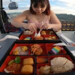 Singapore Cable Car Sky Pass, Sentosa - Who Will Love This Tour?