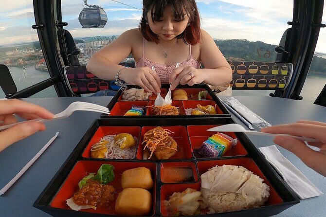 Singapore Cable Car Sky Pass, Sentosa - Who Will Love This Tour?