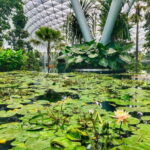 Singapore: Discover Jewel Changi Guided Tour - Exploring the Jewel’s Unique Features