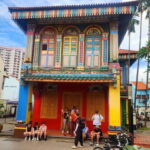 Singapore Essentials: 4-Hour Private Tour - Moving to Little India: Vibrancy and Cultural Depth