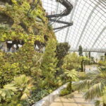 Singapore: Gardens by the Bay Admission E-Ticket - What Makes This Tour Stand Out?