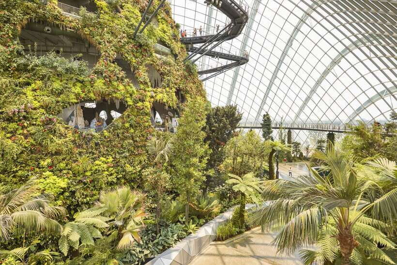 Singapore: Gardens by the Bay Admission E-Ticket - What Makes This Tour Stand Out?