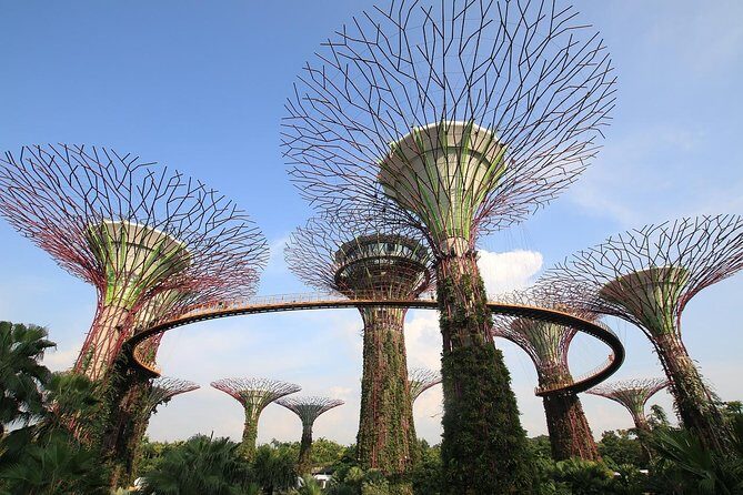 Singapore: Gardens by the Bay Admission E-Ticket - A Detailed Breakdown of the Tour Experience