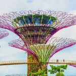 Singapore Gardens by the Bay Admission Skip-The-Line E-Ticket - The Itinerary in Detail