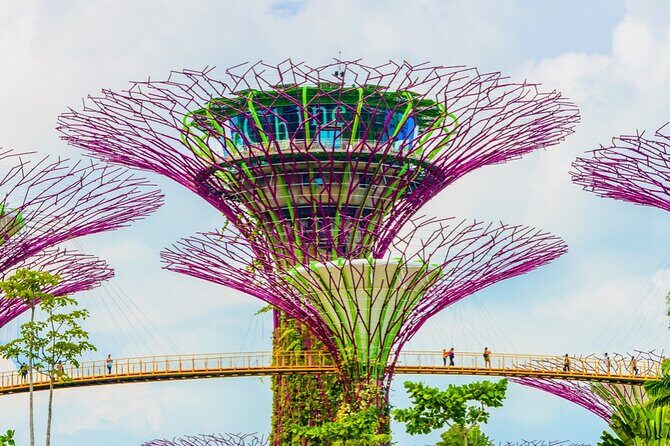 Singapore Gardens by the Bay Admission Skip-The-Line E-Ticket - The Itinerary in Detail