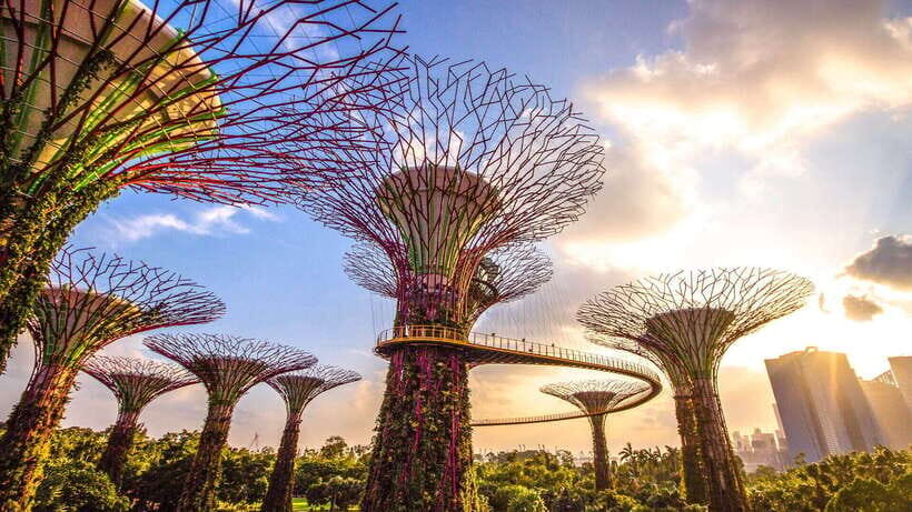 Singapore: Gardens by the Bay Bundle Entry Ticket - Authentic Experiences and Traveler Feedback