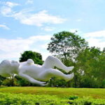 Singapore: Gardens by the Bay Guided Tour/Photography - The Itinerary: A Closer Look