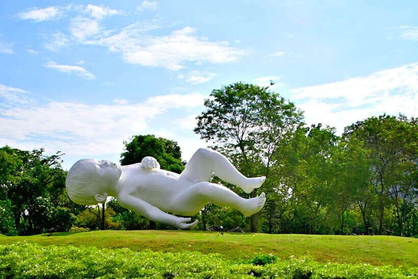 Singapore: Gardens by the Bay Guided Tour/Photography - The Itinerary: A Closer Look