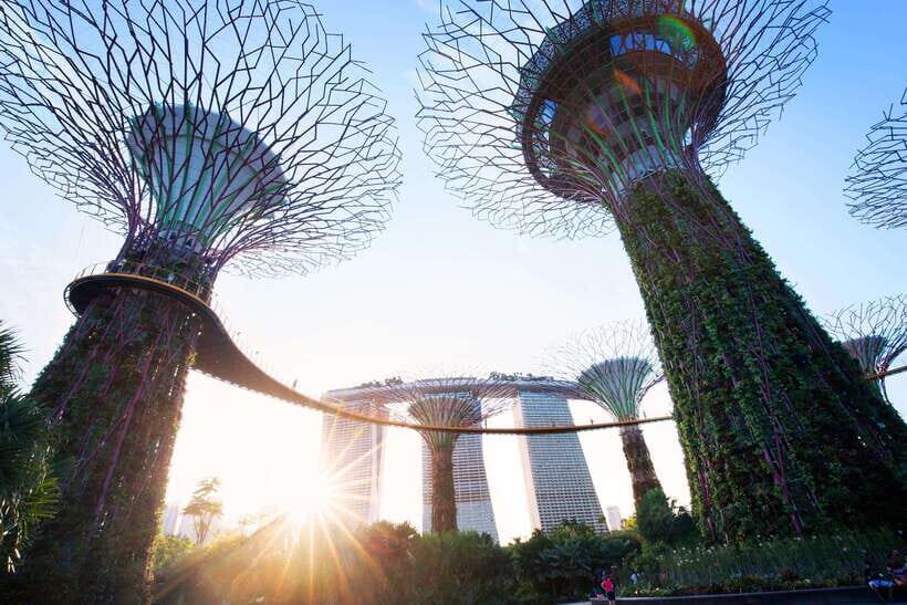 Singapore: Gardens by the Bay Guided Tour - Why You Should Join This Tour