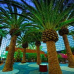 Singapore: Gardens by the Bay & Jurassic World with Pickup - Final Thoughts: Is This Tour Worth It?