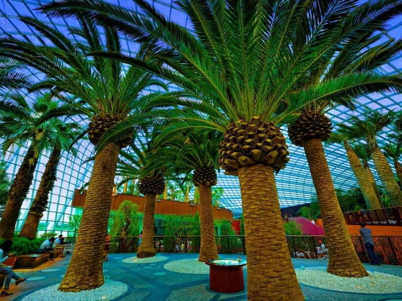 Singapore: Gardens by the Bay & Jurassic World with Pickup - Final Thoughts: Is This Tour Worth It?