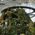 Singapore Gardens by the Bay with Flower Dome and Cloud Forest - The Itinerary in Detail