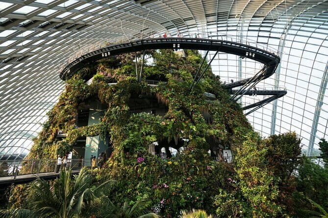 Singapore Gardens by the Bay with Flower Dome and Cloud Forest - The Itinerary in Detail