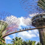 Singapore Morning Tour, Gardens by the Bay and Sentosa Transfer - How the Experience Feels: The Practicalities