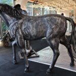 Singapore Museum Entry Tickets - Ticket Validity and Booking Concerns