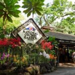 Singapore: National Orchid Garden Admission Ticket - The Practicalities: What Travelers Should Know