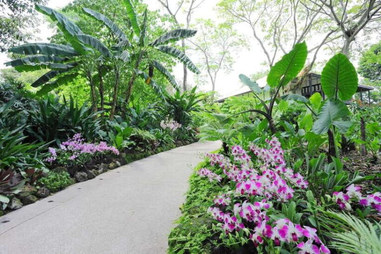 Singapore: National Orchid Garden Entry Tickets - What to Expect When You Visit