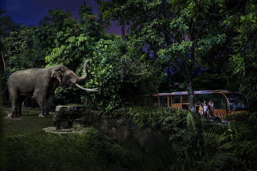 Singapore: Night Safari and Tram Ride Ticket - Practical Tips for Visiting
