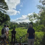 Singapore Private Brompton Bike City Tour - A Closer Look at the Itinerary