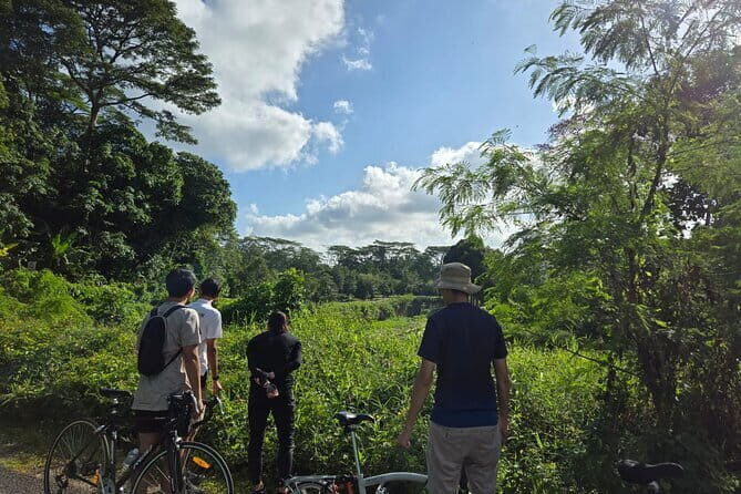 Singapore Private Brompton Bike City Tour - A Closer Look at the Itinerary