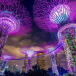 Singapore: Private Customized Night Tour with driver - Who Should Consider This Tour?
