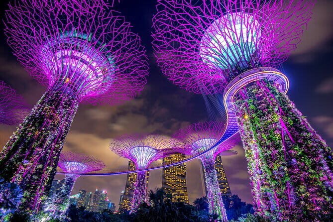 Singapore: Private Customized Night Tour with driver - Who Should Consider This Tour?