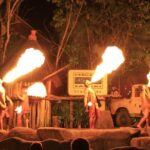 Singapore River & Night Safari-COMBO (Shared Transfer) - What’s Included and What’s Not