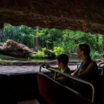 Singapore: River Wonders Entry Ticket - The Itinerary Breakdown: What Will You Experience?