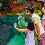 Singapore River Wonders Entry Ticket - What You’ll Experience at River Wonders