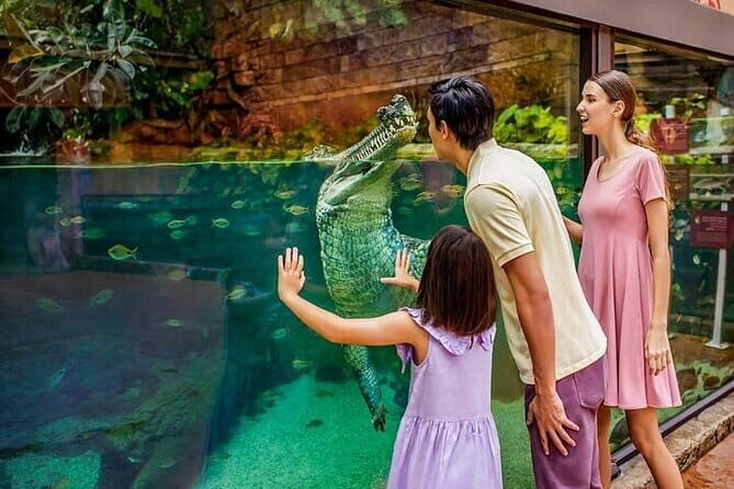 Singapore River Wonders Entry Ticket - What You’ll Experience at River Wonders