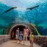 Singapore: River Wonders Entry Ticket - Practical Details for Your Visit