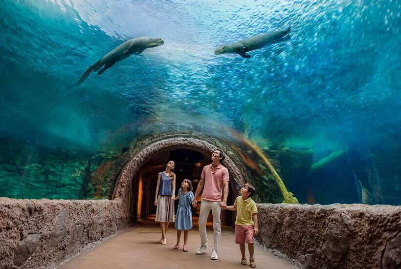 Singapore: River Wonders Entry Ticket - Practical Details for Your Visit