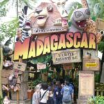 Singapore Universal Studio & S.E.A Aquarium-COMBO One-Day Pass(Shared transfer) - Who Should Consider This Tour?
