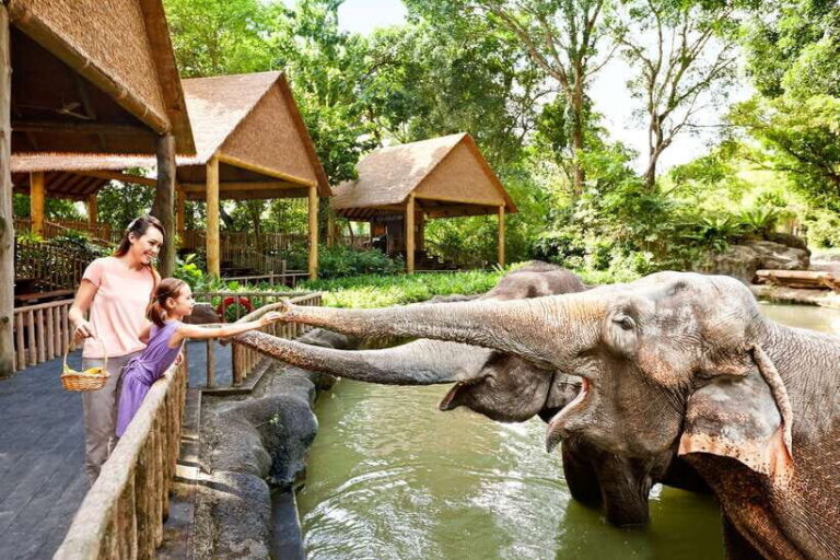 Singapore Zoo: 1-Day Entrance E-Ticket - The Sum Up: Who Will Love the Singapore Zoo?