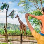 Singapore Zoo - Who Will Love the Singapore Zoo?