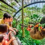 Singapore Zoo & Night Safari Day ( Tickets & Transfer ) - In-Depth Look at the Itinerary