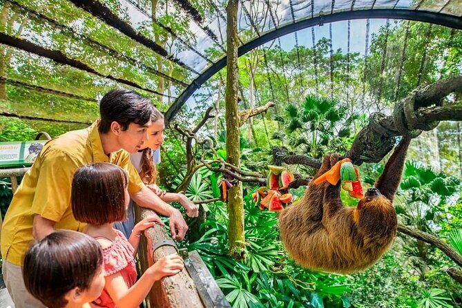 Singapore Zoo & Night Safari Day ( Tickets & Transfer ) - In-Depth Look at the Itinerary