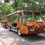 Singapore Zoo with Tram Ride Experience for Tourist - The Itinerary Breakdown