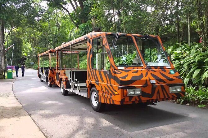Singapore Zoo with Tram Ride Experience for Tourist - The Itinerary Breakdown