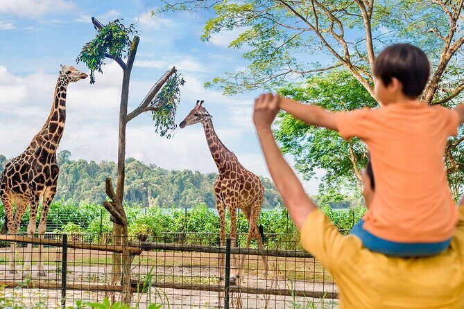 Singapore Zoo - Who Will Love the Singapore Zoo?