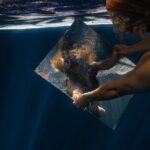 Single photo shoot in Cenotes de Yucatan - The Sum Up