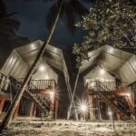Sinharaja Forest Reserve Glamping with BBQ Night - In-Depth Breakdown of the Experience