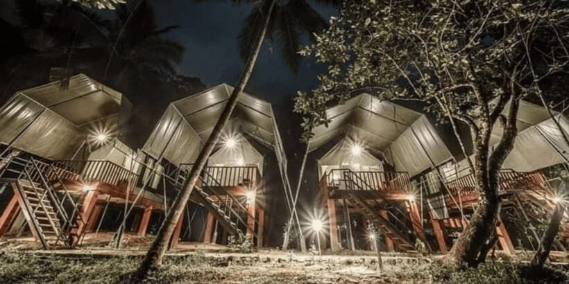 Sinharaja Forest Reserve Glamping with BBQ Night - In-Depth Breakdown of the Experience