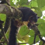 Sinharaja Rain Forest Tour from Colombo - The Return Journey and Overall Value