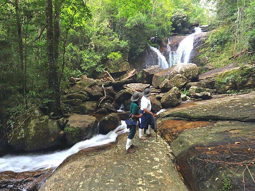 Sinharaja Rain Forest UNESCO Walk and Bird Watching Day Tour - Who Should Consider This Tour?
