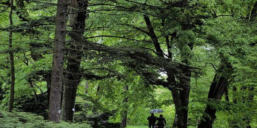 Sinharaja Rainforest Private & Customize Tour - What Makes This Tour Stand Out?