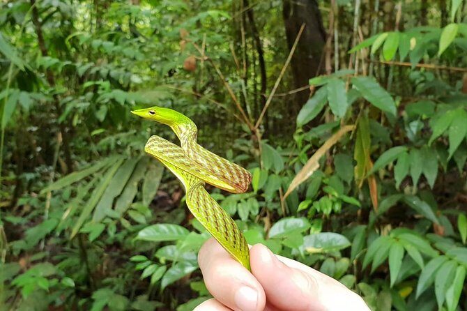 Sinharaja RainForest Private Full Day Tour - Everything You Need to Know Before Booking